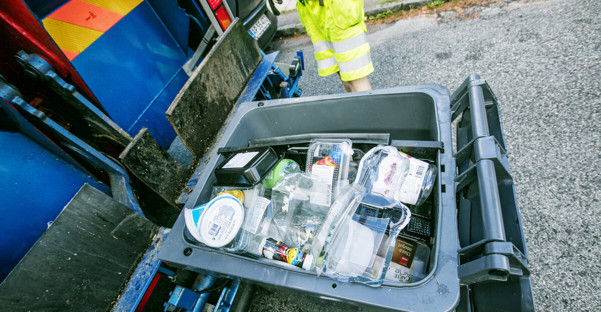 Nye affaldsregler: Sådan skal vi sortere vores affald i dag